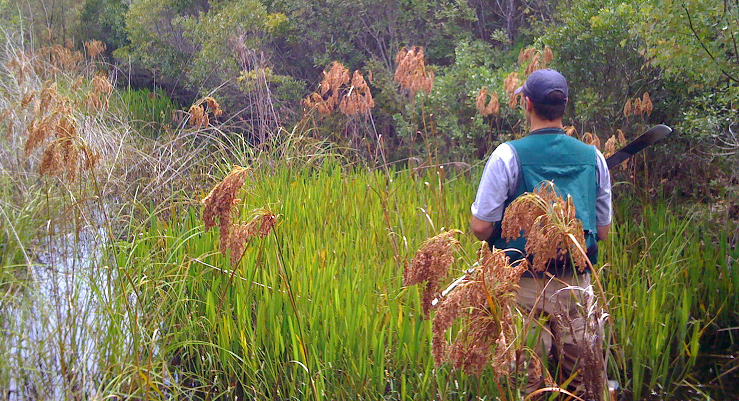 Carter Environmental - Wetlands, Endangered Species, Permitting